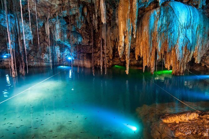 Xplor Park Day Trip with Lunch and Transportation - FAQ