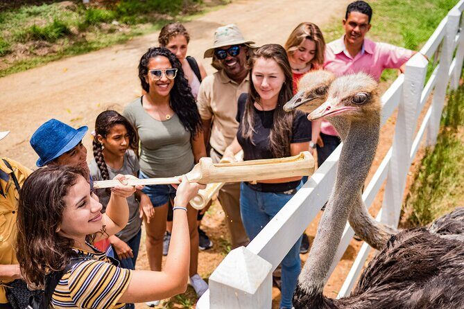 Xploration Animal Encounters Half Day Tour from Punta Cana - What to Expect: A Detailed Breakdown