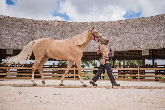 Xploration Animal Encounters Half Day Tour from Punta Cana - The Value of This Tour