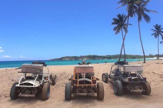 Xtreme Buggy 4 hours Dune Buggy & Country side experience - Who Should Consider This Tour?