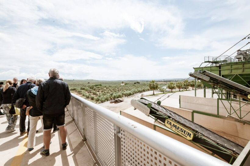 XXI Century Olive Oil Mill Tour - Key Points