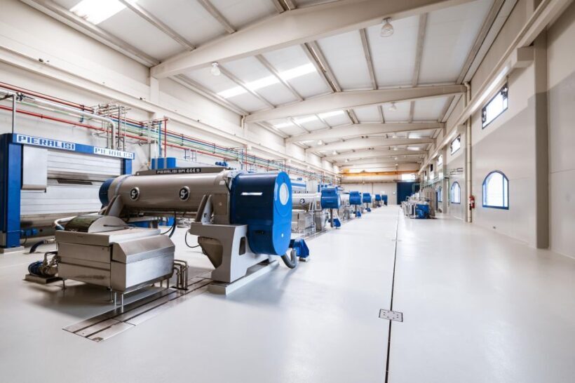 XXI Century Olive Oil Mill Tour - A Closer Look at the Tour Experience