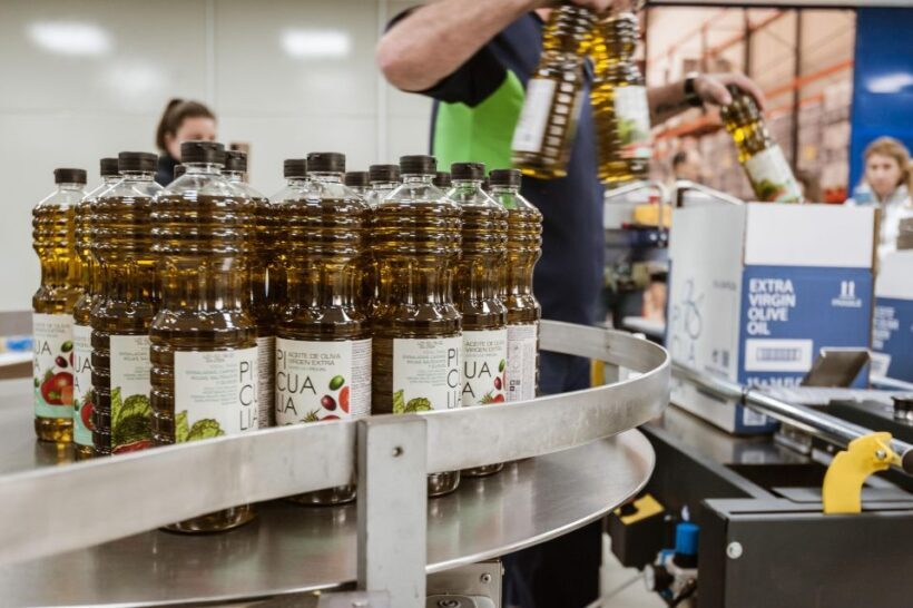XXI Century Olive Oil Mill Tour - Who Will Love This Tour?