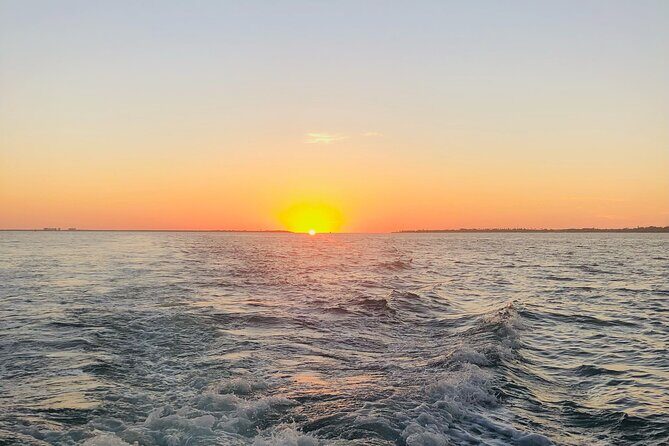 Yacht party cruise in St. Petersburg to Shell Key - What Makes This Tour Stand Out?