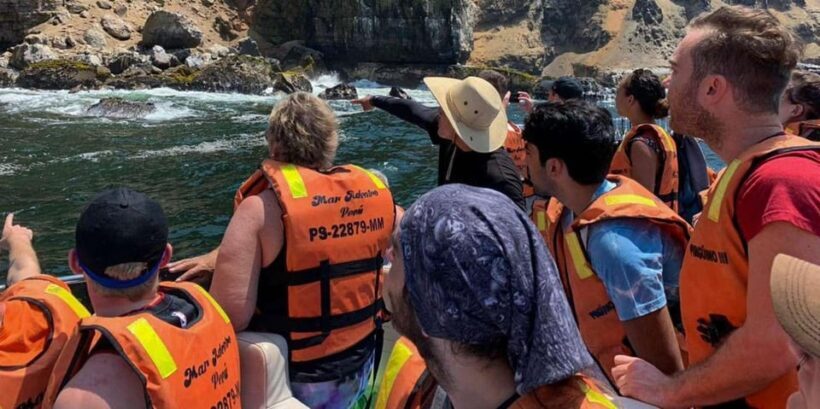 Yacht tour around the Palomino Island - Key Points