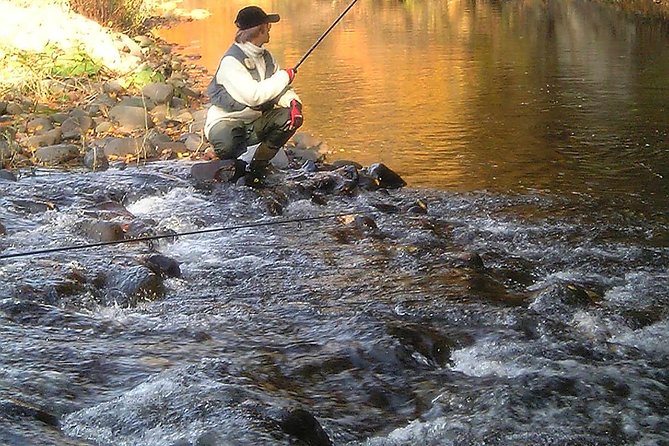 Yakusugi Cedar Forest Walking Tour on Yakushima Island - Inspiration From "Princess Mononoke"