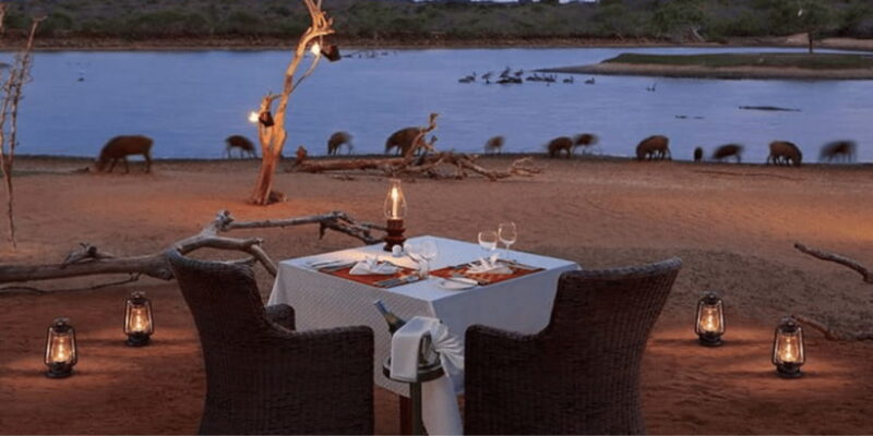 Yala Beachside BBQ: All-Inclusive Private Dinner in Yala - Who Should Consider This Tour?