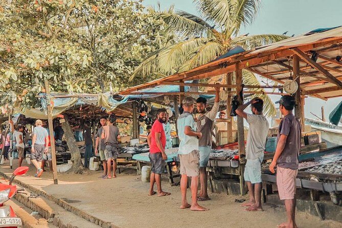 Yala from Galle (2 Days) - Final Thoughts: Is This Tour Worth It?
