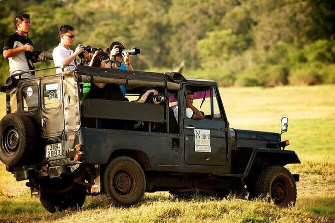 Yala Half Day Safari from Yala - Who Will Love This Tour?