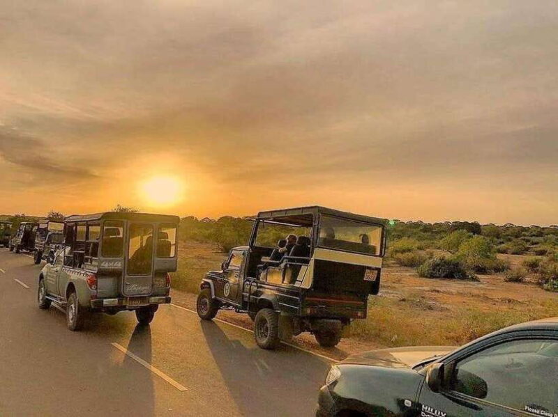 Yala National Park: 7 hour & 12 hour Leopard Safari Tours - The Sum Up