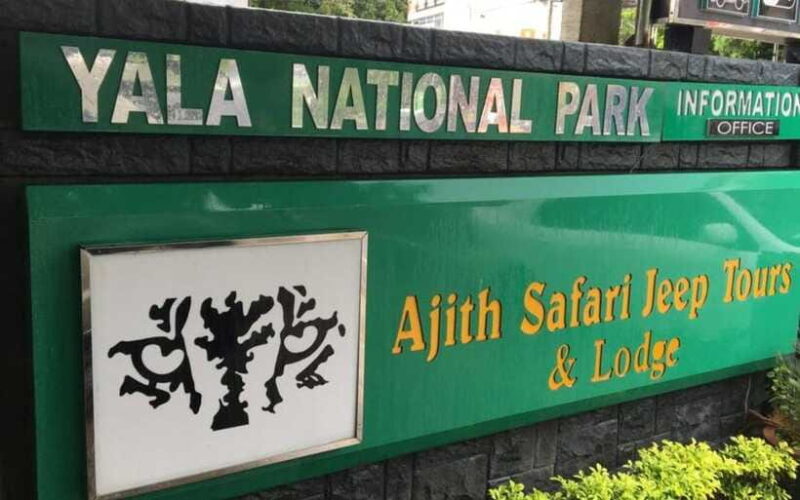 YALA National Park (7 - hours) Wildlife Safari Tour - Key Points