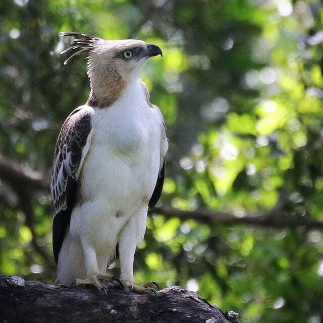 Yala National Park: All Inclusive Private Safari Day Trip - The Sum Up