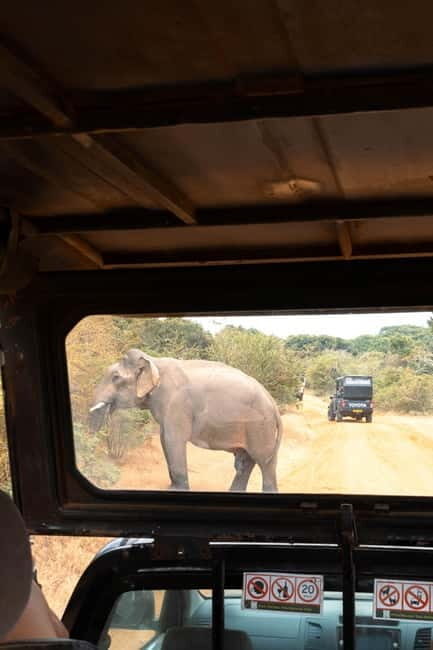 Yala National Park: Block 5 Special Evening/Morning Safari - Exploring Yala’s Hidden Gem: The Block 5 Safari