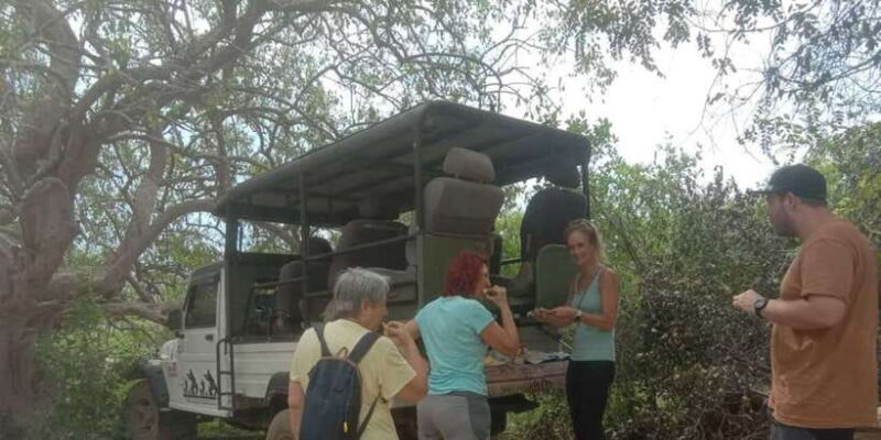 Yala National Park Budget Safari - The Itinerary: What to Expect