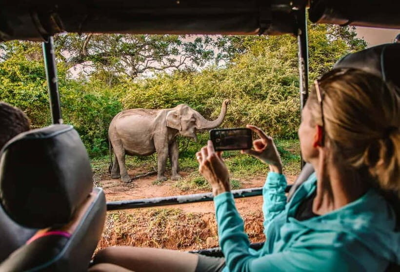 Yala National Park: Entrance Ticket - Key Points