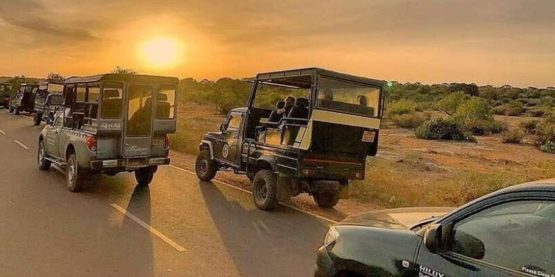 Yala National Park : Full Day Safari (04:30 am - 18:00 pm) - Timing and Itinerary