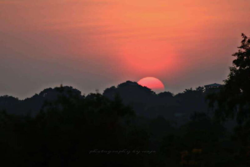 Yala National Park: Full day Safari Tour - What’s the Experience Like on the Day