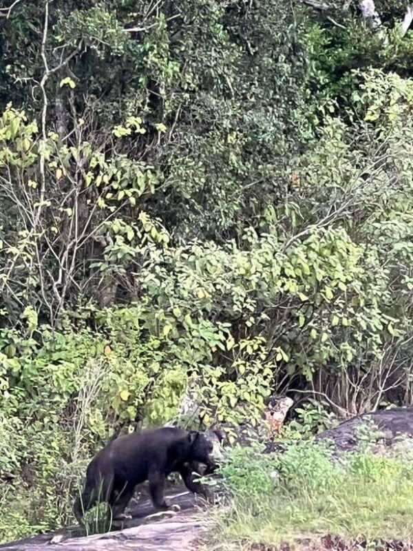 Yala National Park Half Day Safari - Who Will Appreciate This Tour?