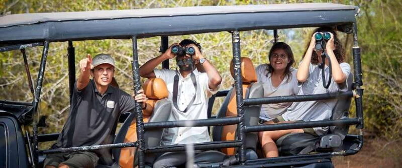 Yala National Park Jeep Safari: Leopards, Elephants & Wild - Key Points