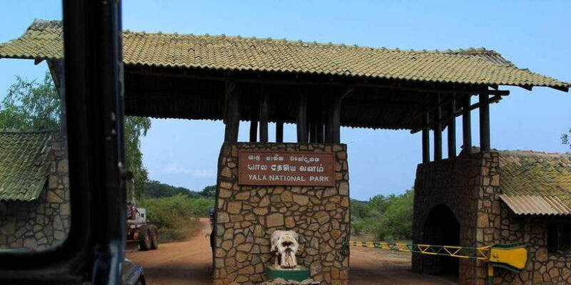 Yala National Park: Leopard Safari Day Tour from Colombo - Who Should Consider This Tour?