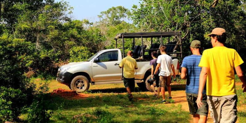 Yala National Park: Leopard Safari Full day tour with Lunch - What to Pack and Wear
