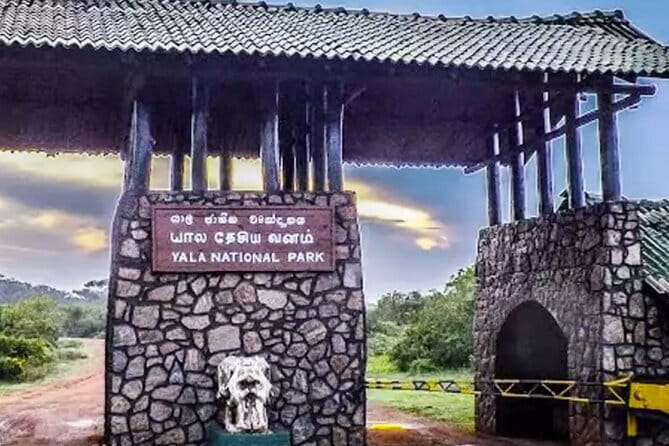 Yala National Park Private Jeep Safari From Colombo & Negombo - Authentic Reviews: What Travelers Say