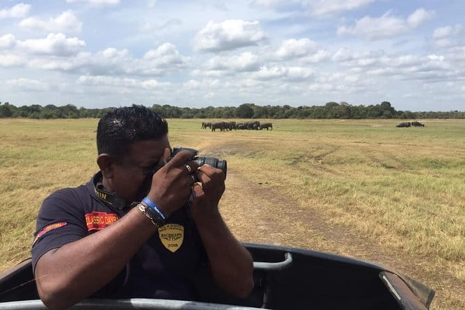 Yala National Park Private Jeep Safari From Colombo & Negombo - Pricing and Value