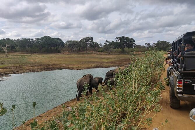 Yala National Park Safari from Koggala - The Itinerary: What to Expect
