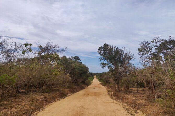 Yala National Park Safari from Talpe - An In-Depth Look at the Yala Safari Experience