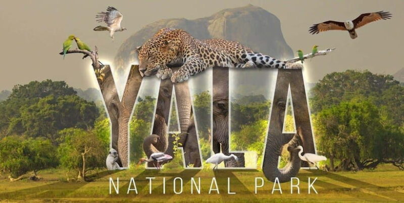 "Yala National Park Safari-Half-Day Safari Guided Adventure" - Who Will Benefit Most?
