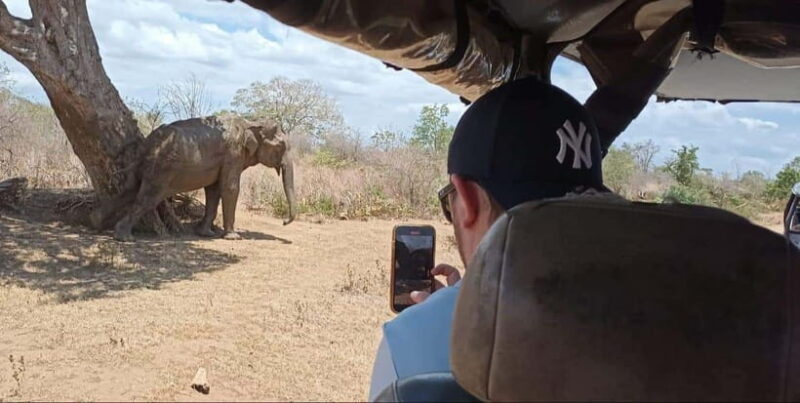 Yala National park Safari Tour From Colombo / Galle - Key Points