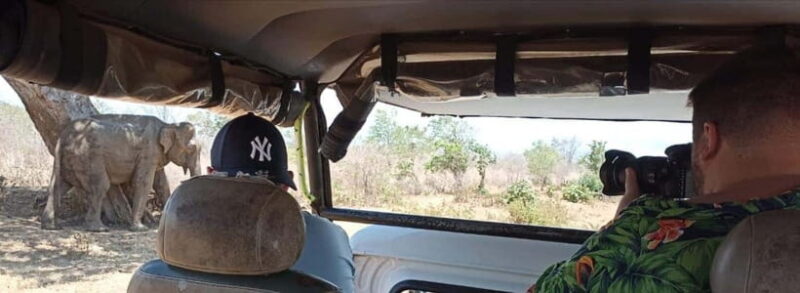 Yala National park Safari Tour From Colombo / Galle - The Experience from a Traveler’s Perspective