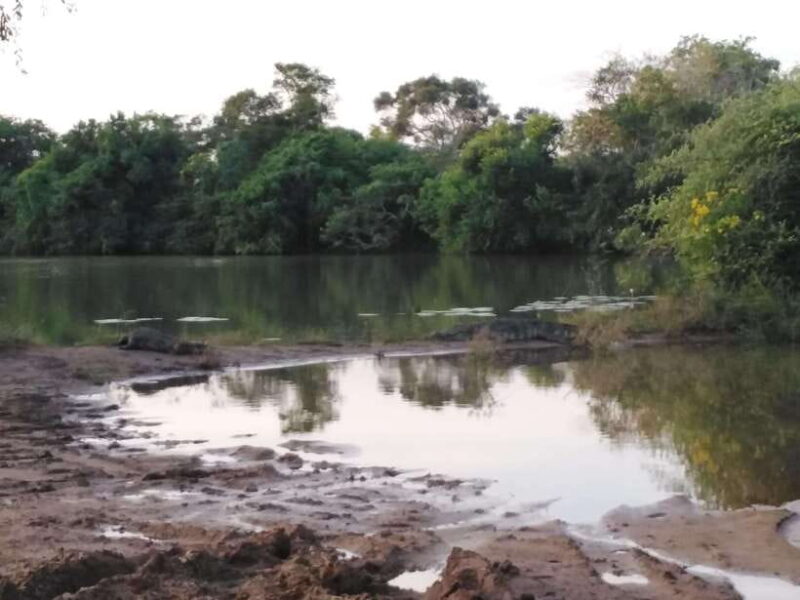 Yala National park Safari Tour From Colombo / Galle - Who Is This Tour Best For?