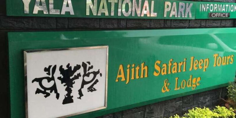 YALA National Park Safari Tour : Half day or Full day Tour - The Itinerary in Detail