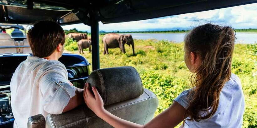 Yala National Park - Safari Tour with Hotel / Accommodation - What to Expect on Your Yala Safari Tour