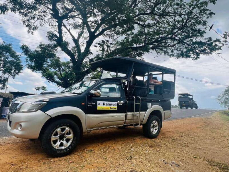 Yala: National Park Safari with Jeep - Final Words