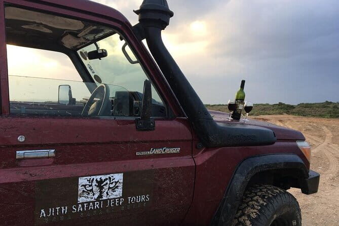YALA National Park Safari with Transfer Mirissa to ArugamBay - Key Points