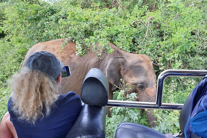 Yala National Park Tour from Hambantota Port Janaka Safari - Weather Considerations & Cancellation Policies
