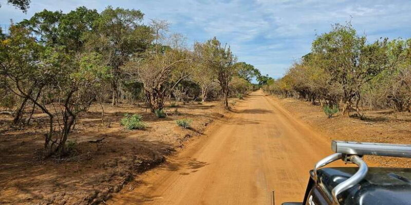 Yala National Park Wildlife safari from Mirissa - Analyzing the Cost and Value