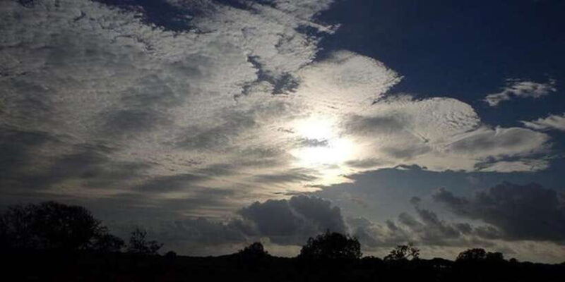 Yala: Night Drive in Yala National Park Buffer Zone! - Introducing the Night Drive Experience in Yala