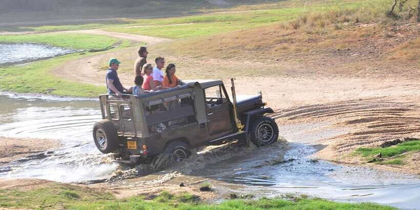 Yala Private Safari - Half Day or Full Day with Picnic Lunch - The Sum Up