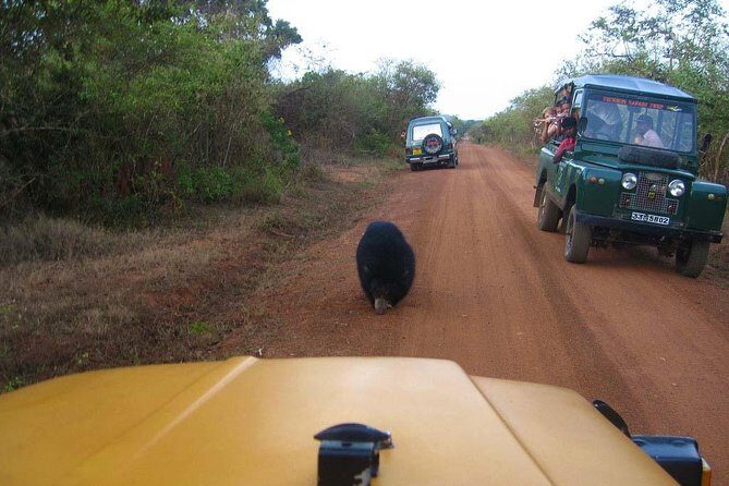 Yala Safari (5 Days, 4 Nights) - A Detailed Look at the 5-Day Yala Safari Tour