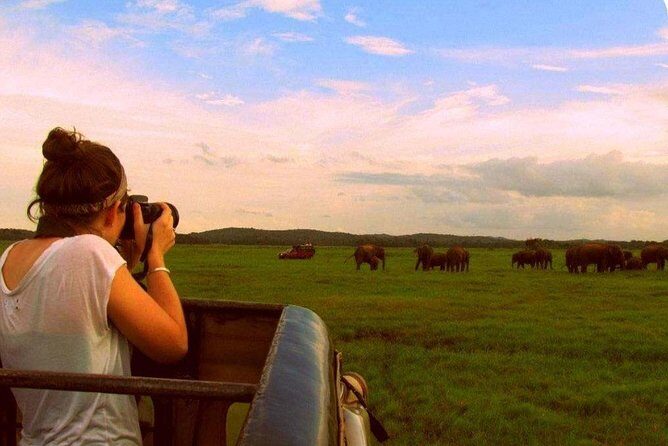 Yala Safari (5 Days, 4 Nights) - What Makes This Tour Stand Out?