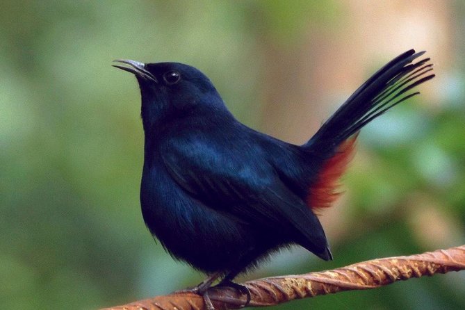 Yala Safari by Yala Safari Wonders - Key Points