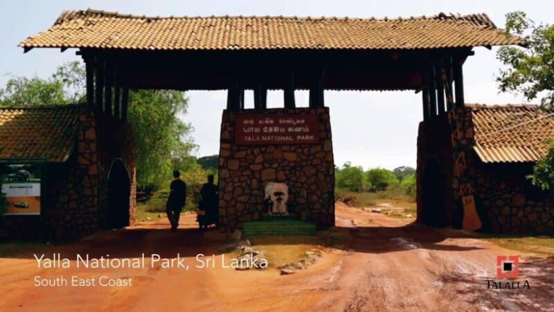 Yala Safari,Mirissa Whale Watching & Galle Fort Night Escape - The Sum Up