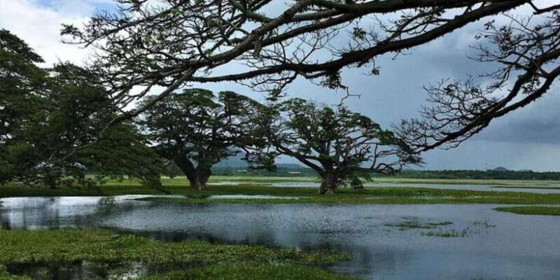 Yala: Sunset Tour by Boat & Beach BBQ Dinner! - What Travelers Say