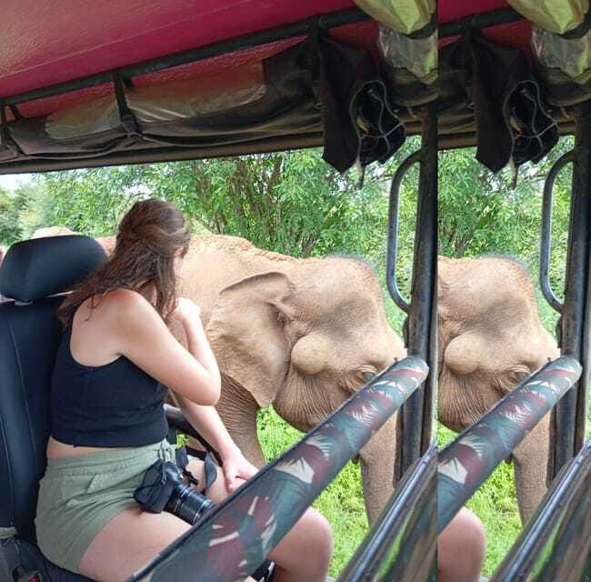 Yala, Udawalawe Safari & Elephant Home Lifetime Experience - Who Should Book This Tour?