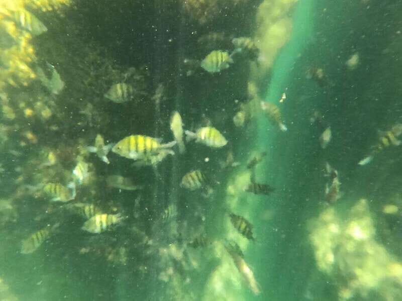 Yalku :Akumal snorkeling Muuch Kay Ecopark - Detailed Breakdown of the Day