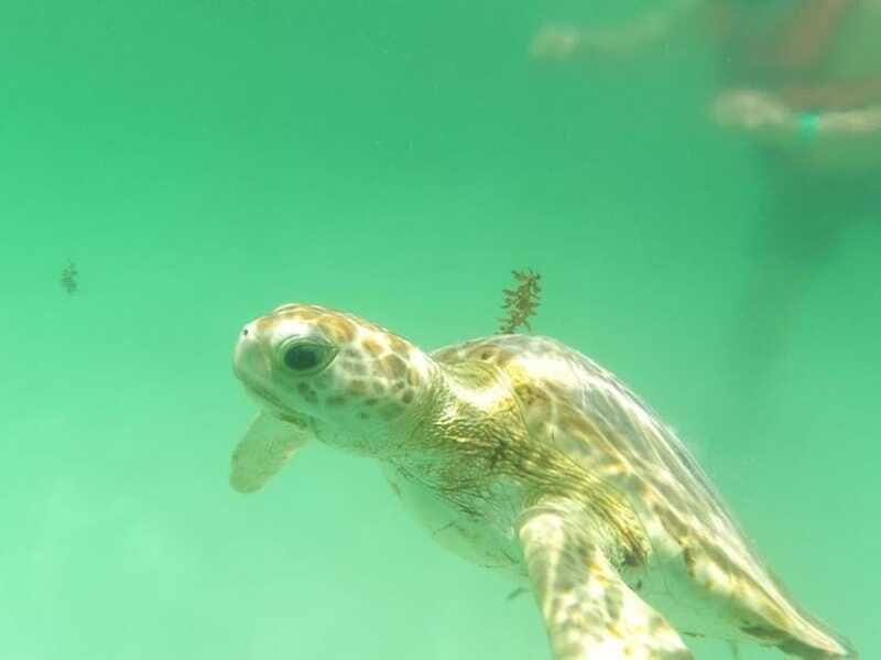 Yalku :Akumal snorkeling Muuch Kay Ecopark - Final Thoughts