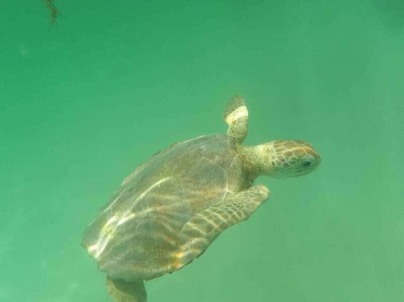 Yalku :Akumal snorkeling Muuch Kay Ecopark - FAQ